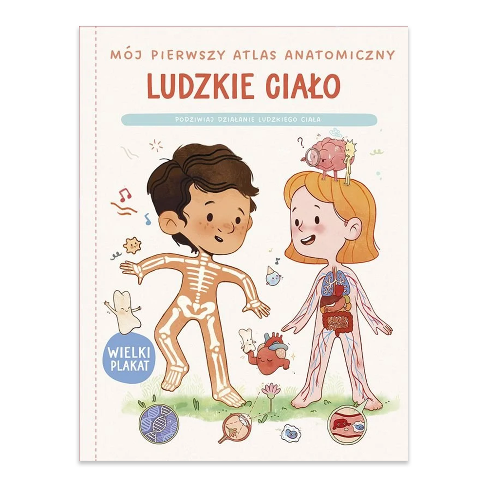 Mój pierwszy atlas anatomiczny. Ludzkie ciało - Księgarnia Natuli